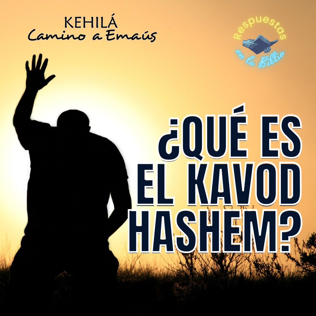353. ¿Qué es el Kavod Hashem?